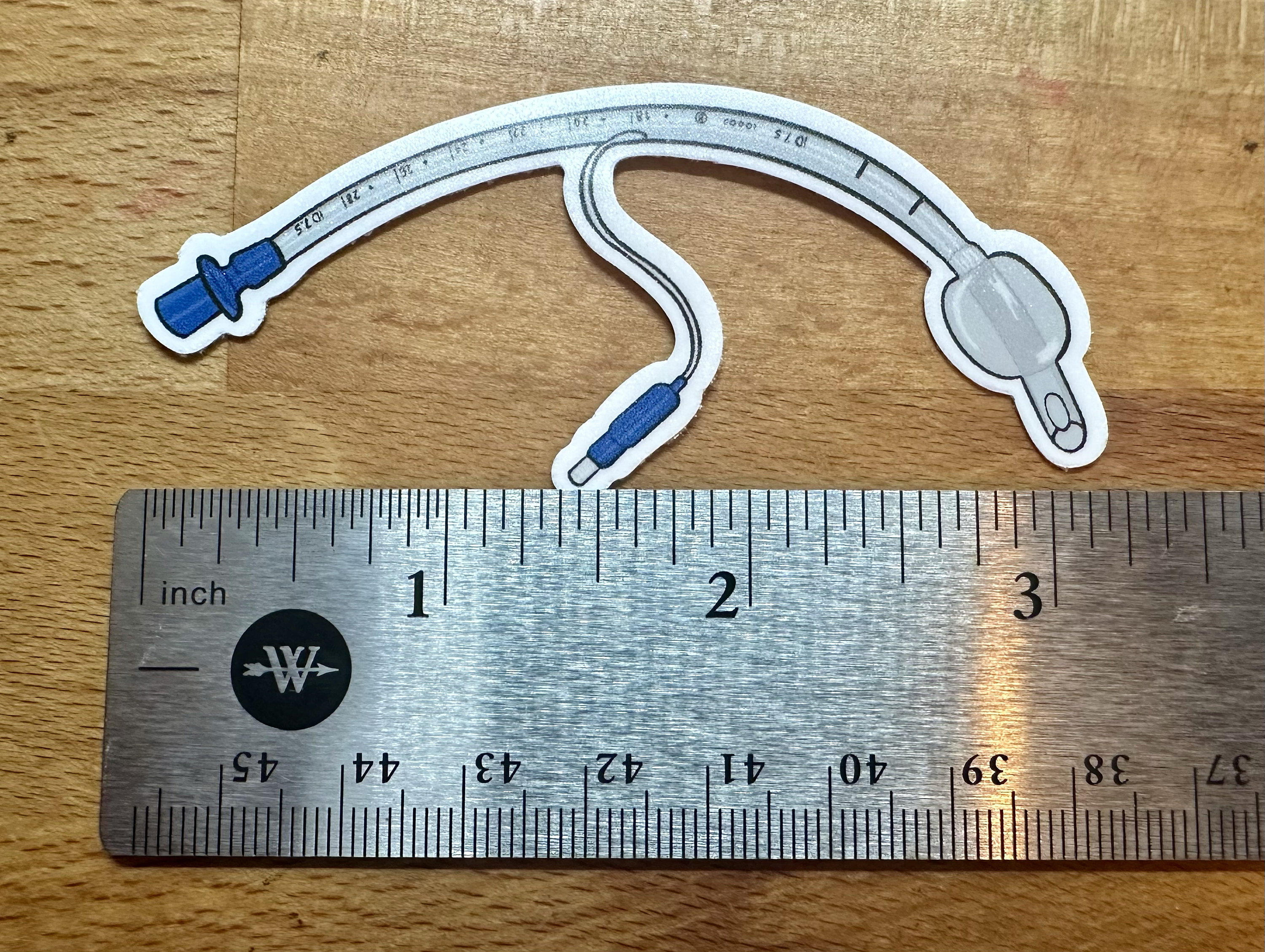 Respiratory Airway - 5 Stickers Bundle | Water Bottle Stickers ...