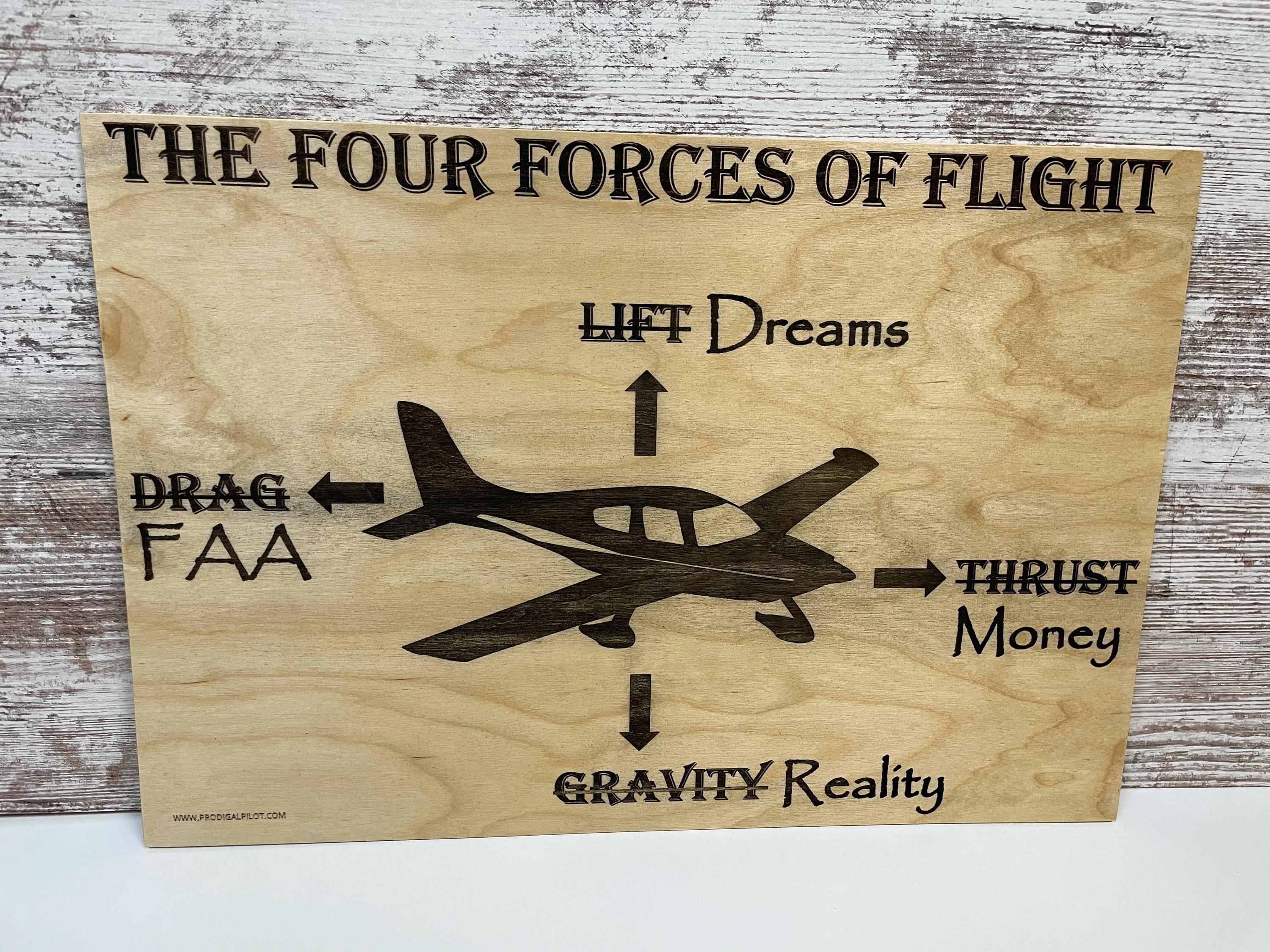 Large Aviation Sign Four Forces of Flight Aviation Decor - Etsy