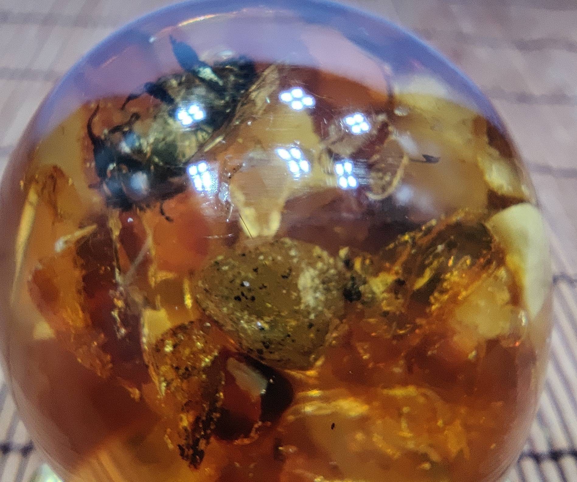 Baltic Amber Egg - Etsy