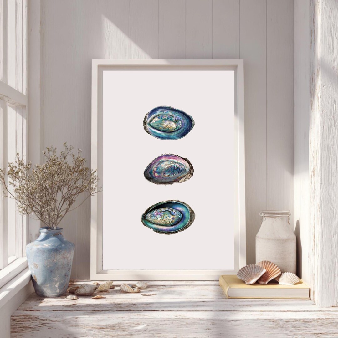 Abalone Shell Set Print 2 | Vintage Minimalist Natural History Style ...
