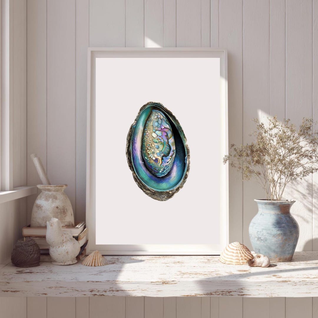 Abalone Shell Print 3 | Vintage Minimalist Natural History Style ...