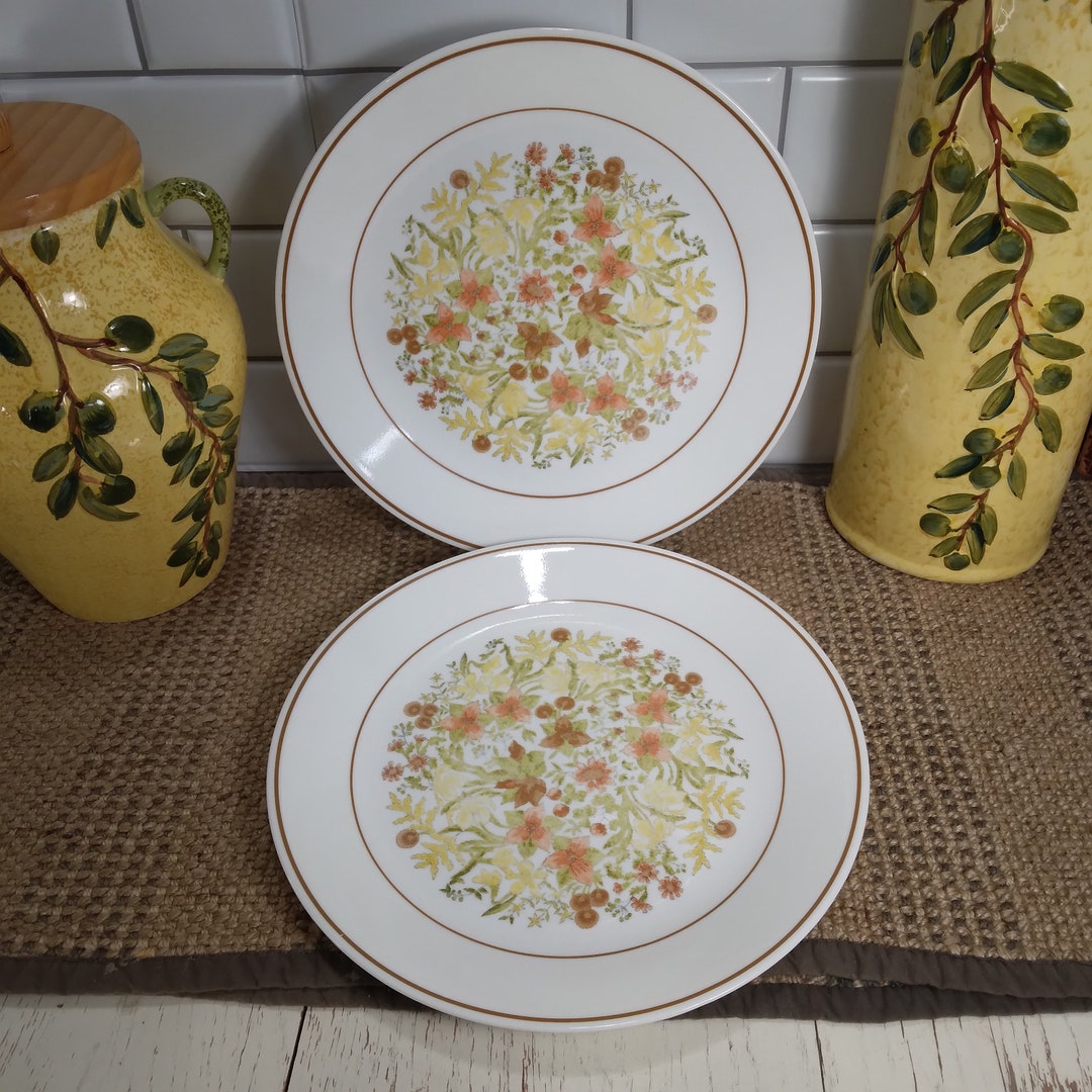 Set of Two 10.25 Dinner Plates Vintage Corelle Indian Summer Pattern ...