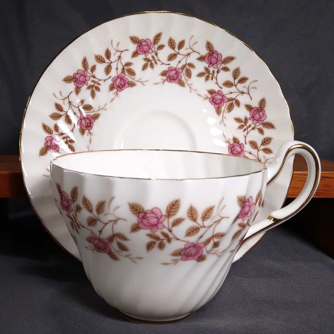 EB Foley Teacup & Saucer Set RARE Enchantment Pattern With Pink Roses ...