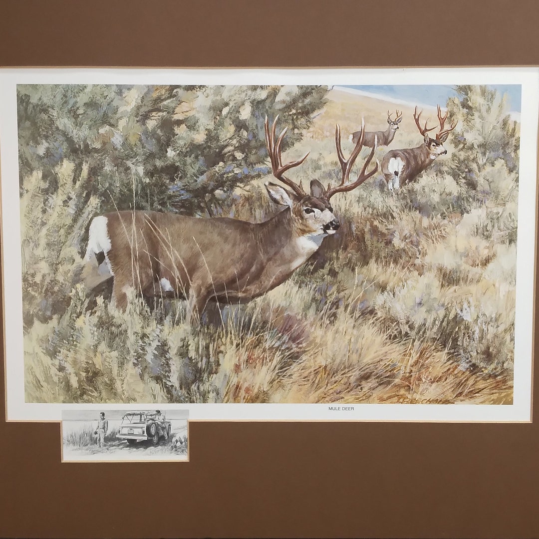 Rustic Landscape 16x20 Art Print mule Deer Matted Wall Hanging by ...
