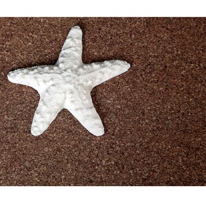 Sea Shell Cake Toppers | Edible Cake Toppers for Decorating Under the ...