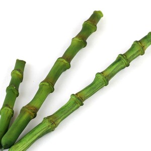 Bamboo Sugar Flower Cake Topper | Assorted Size Gum Paste Flower for ...