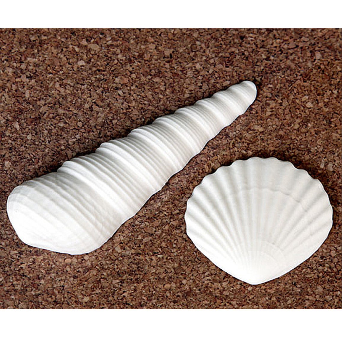 Sea Shell Cake Toppers Edible Cake Toppers for Decorating - Etsy