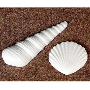 Sea Shell Cake Toppers | Edible Cake Toppers for Decorating Under the ...