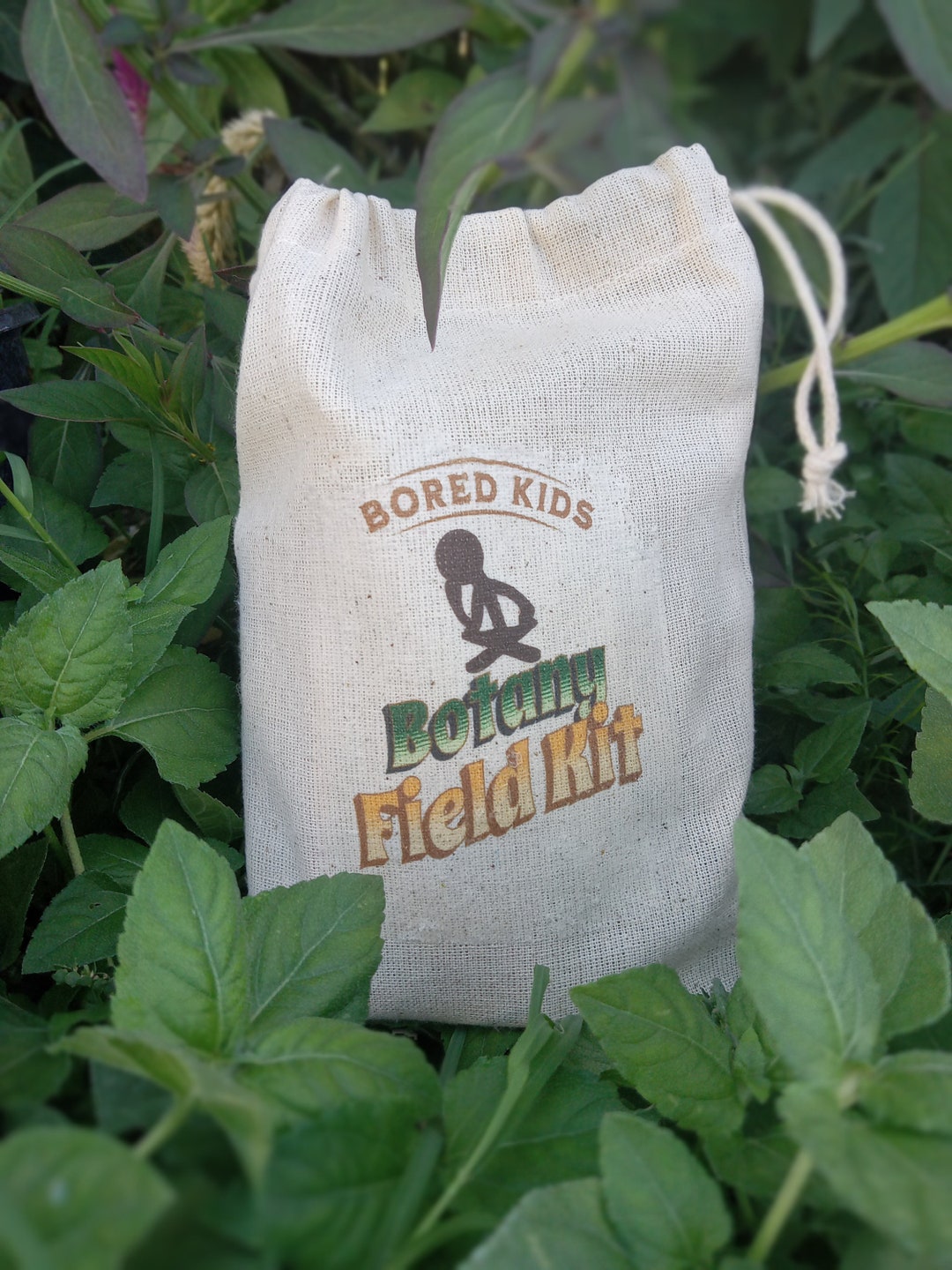 Bored Kids Botany Field Kit - Etsy