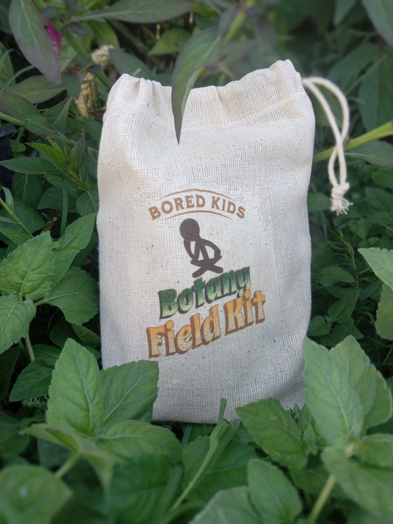 Bored Kids Botany Field Kit - Etsy