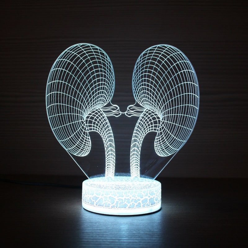 Kidney Gift - 60+ Gift Ideas for 2025
