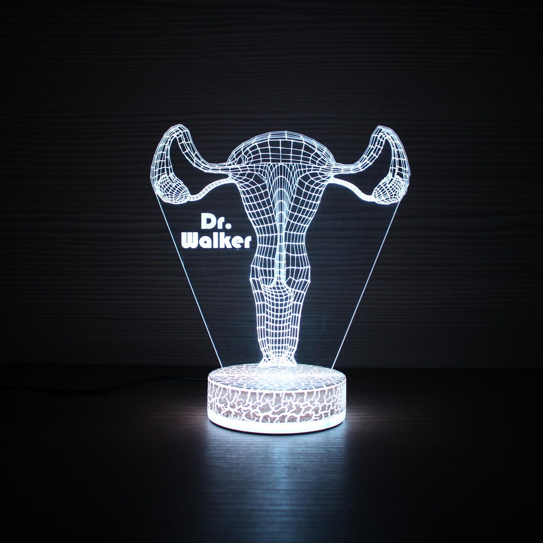 Gynecologist Gift Female Reproductive System Gift for Gynecologist Lamp ...