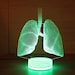 Lungs Gift 3D Lung Pulmonologist Gift Doctor Gifts Led Lamp 3D Night ...