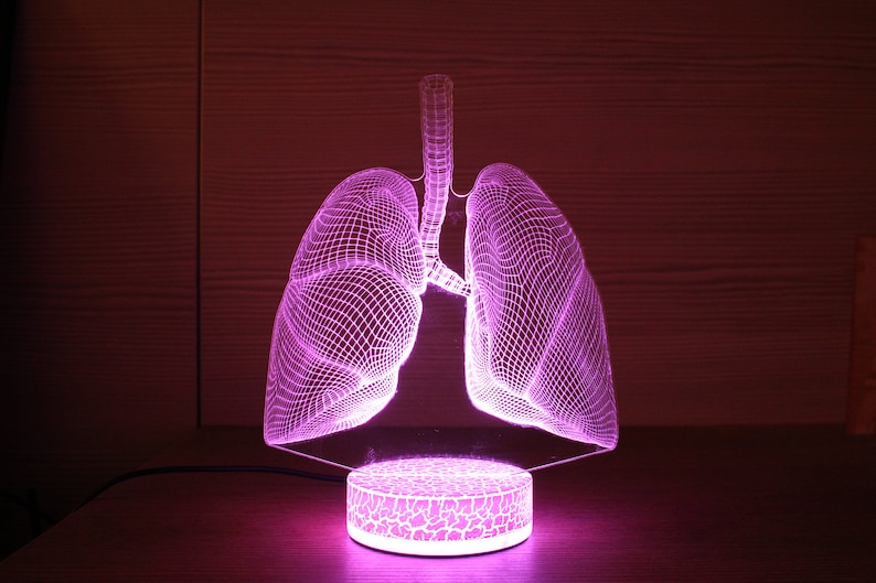 Lungs Gift 3D Lung Pulmonologist Gift Doctor Gifts Led Lamp 3D Night ...