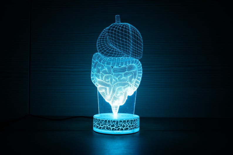 Digestive System Gut Lamp Gastroenterologist Gift Gut Light Gift for ...