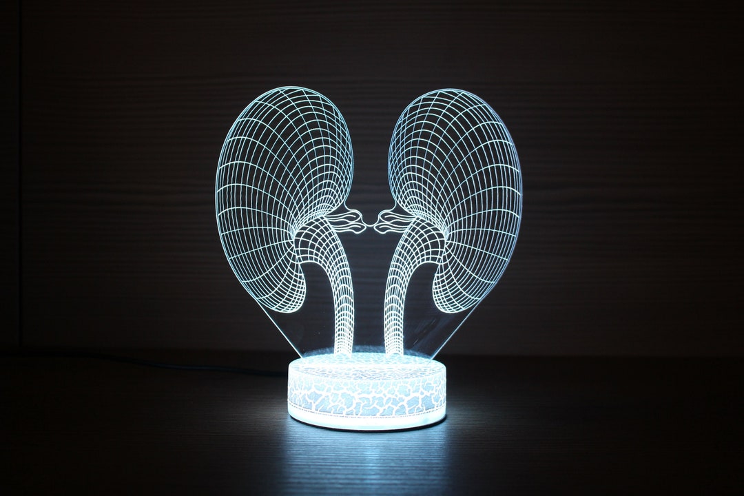 Kidneys Gift Nephrologist Gift 3D Kidney Doctor Gifts Led Lamp 3D Night ...