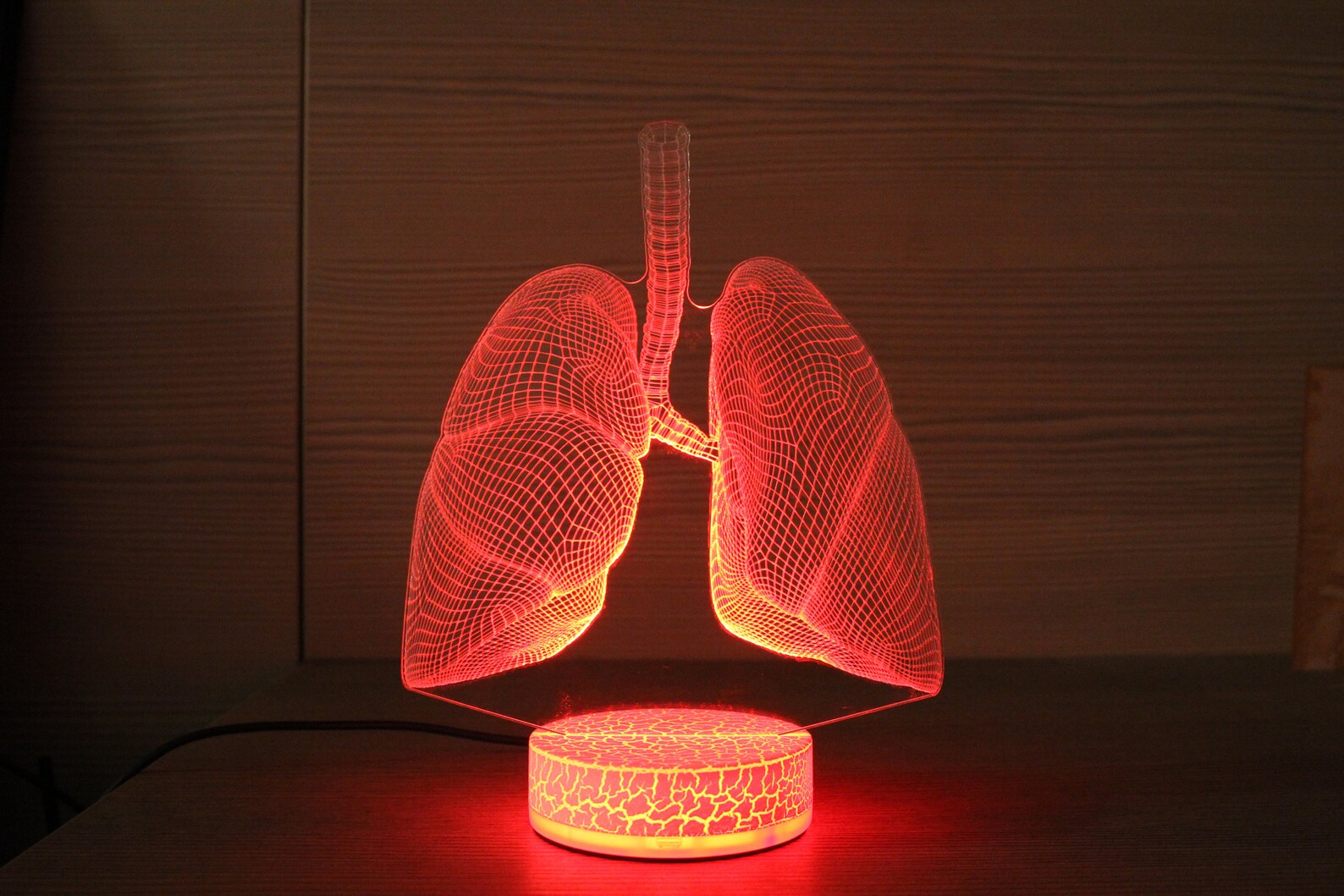 Lungs Gift 3D Lung Pulmonologist Gift Doctor Gifts Led Lamp 3D Night ...