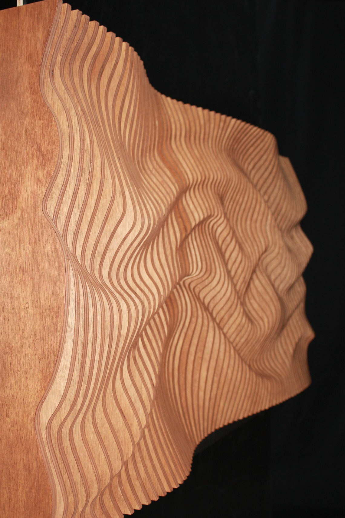 Parametric Wall Art Abstract WOOD Wall Art PVC Wall ART | Etsy