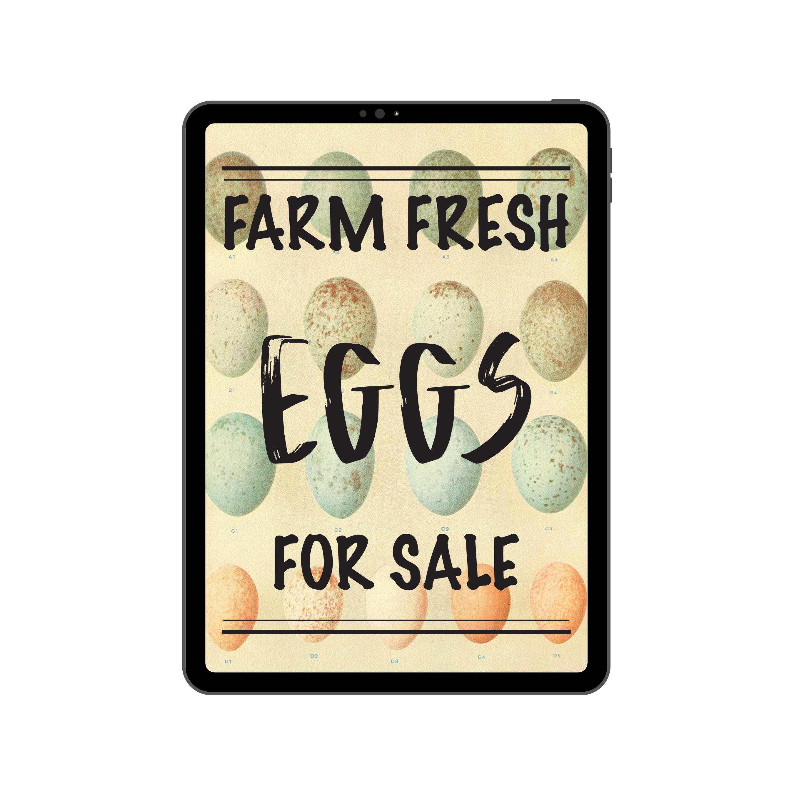 Printable Egg Sign - Farm Fresh Egg Sign - Eggs for Sale Sign - Chicken ...