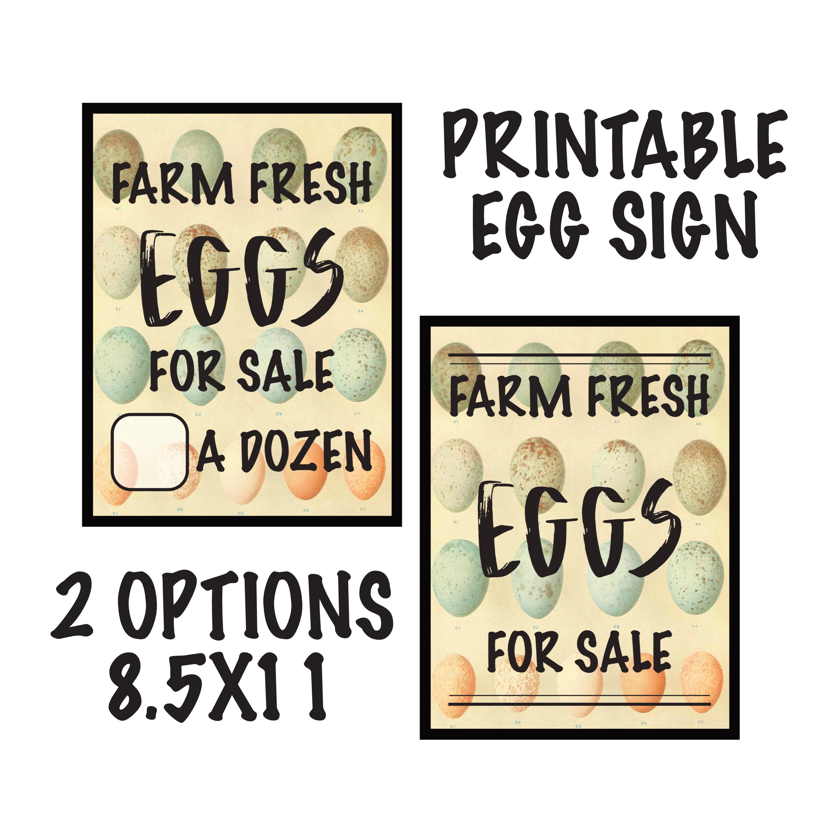 Printable Egg Sign - Farm Fresh Egg Sign - Eggs for Sale Sign - Chicken ...