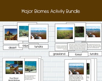 Biome 3 Part Cards - Etsy