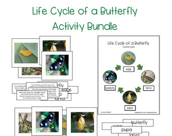 Montessori 3 Part Cards Butterfly Life Cycle - Etsy
