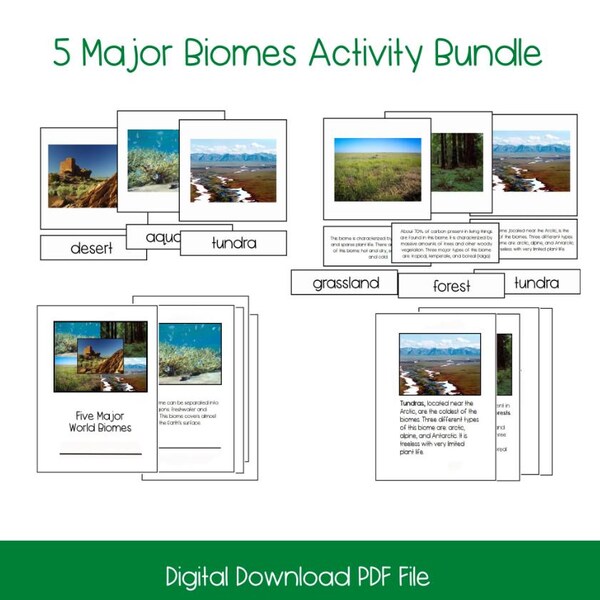 Singular and Plural Activity Cards Level 2 Blue Level, Montessori Shelf ...