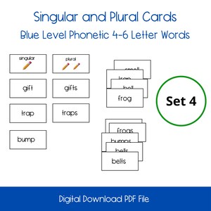 Singular and Plural Activity Cards Level 2 Blue Level, Montessori Shelf ...