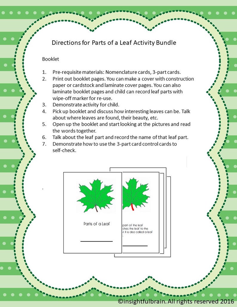 Tarjetas de nomenclatura científica Montessori partes de una - Etsy México