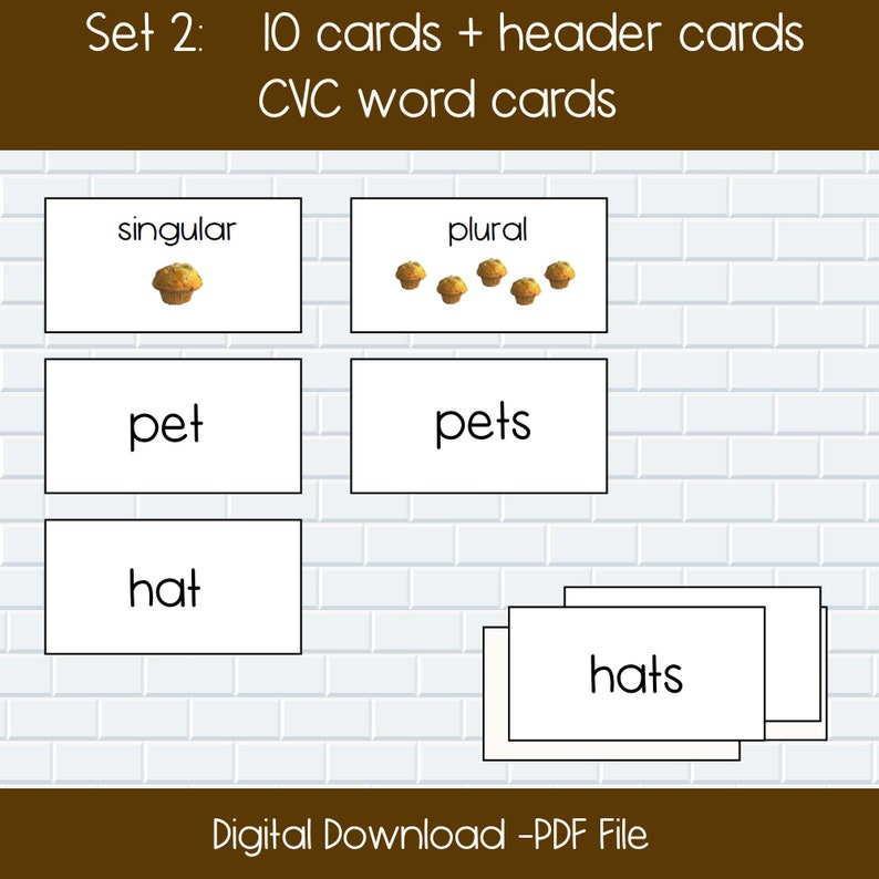 Singular and Plural Activity Cards Montessori Shelf | Etsy