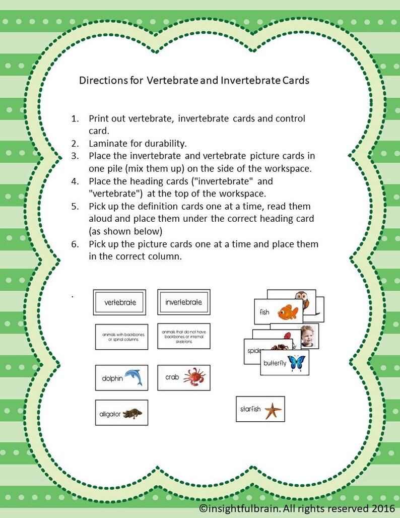 Montessori Classification Cards, Montessori Sorting Cards, Montessori ...