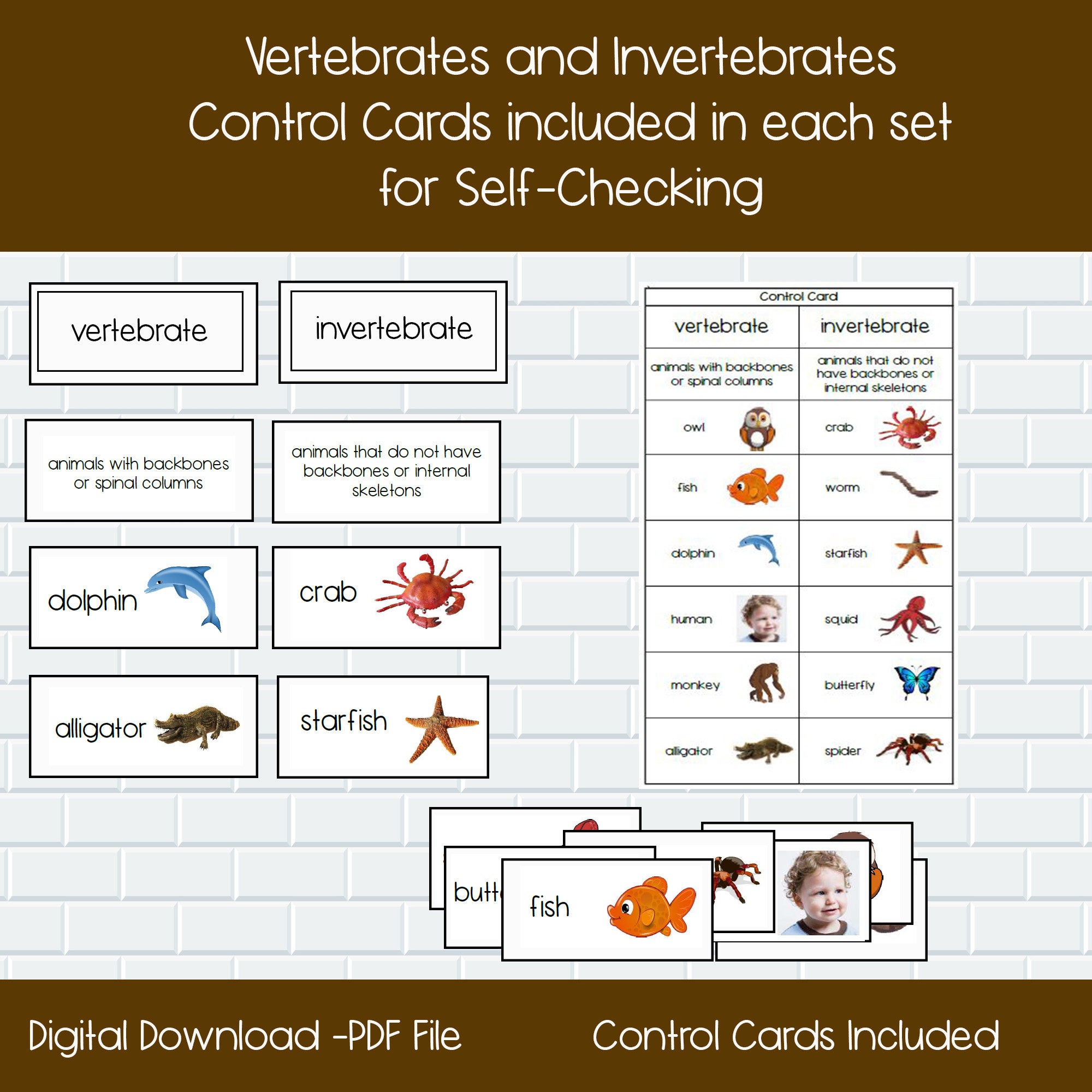 Montessori Classification Cards, Montessori Sorting Cards, Montessori ...