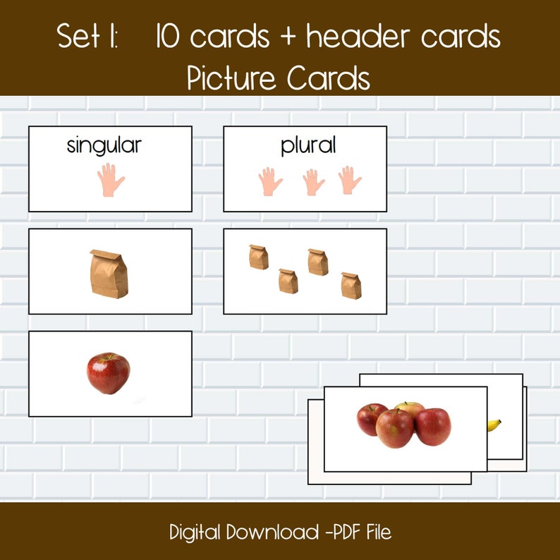 Singular and Plural Activity Cards Montessori Shelf | Etsy