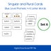 Singular and Plural Activity Cards Level 2 Blue Level, Montessori Shelf ...