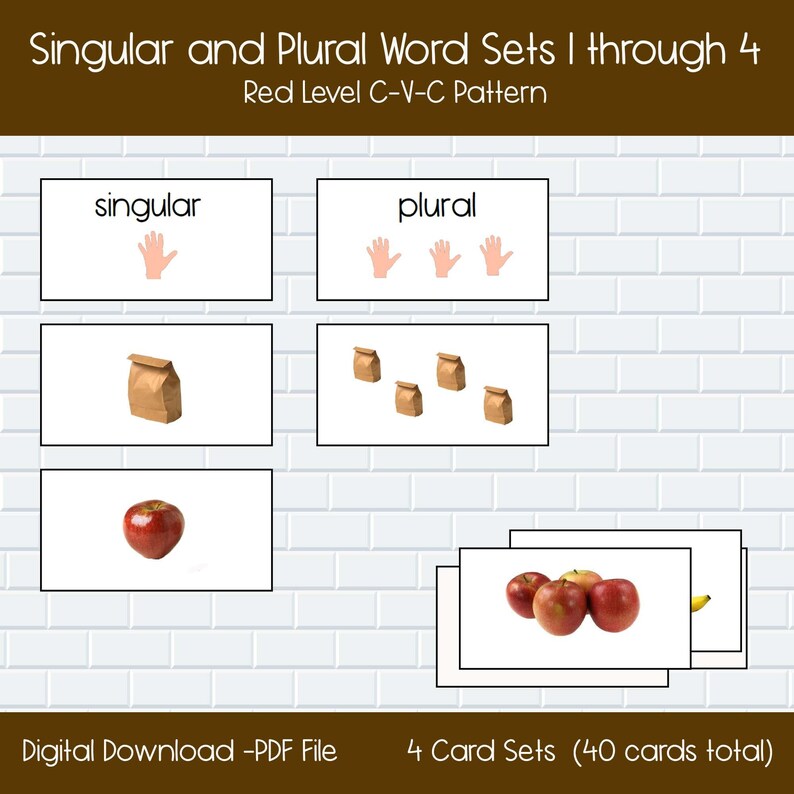 Singular and Plural Activity Cards Montessori Shelf | Etsy