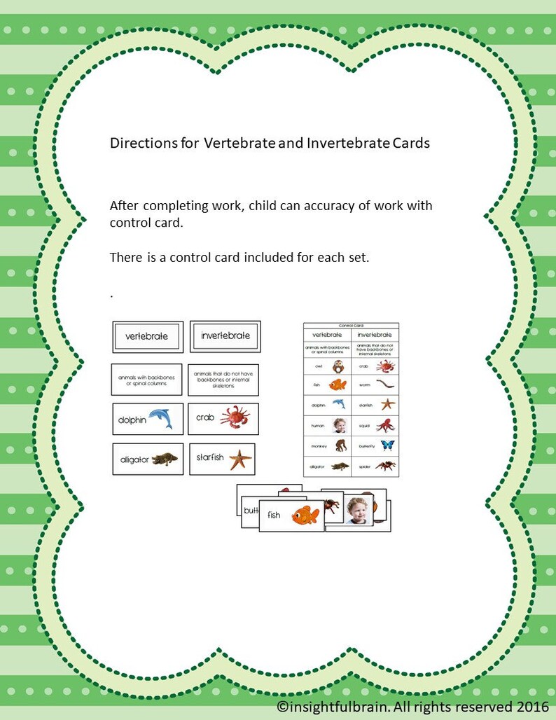 Montessori Classification Cards, Montessori Sorting Cards, Montessori ...