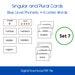 Singular and Plural Activity Cards Level 2 Blue Level, Montessori Shelf ...