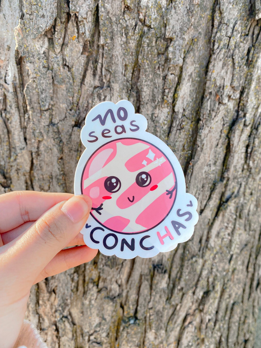 Conchas Sticker, Mexican Sticker, Stickers in Spanish,hydro Flask ...