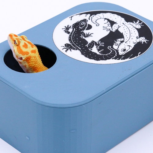Leopard Gecko Moist Hide / Lay Box front Entrance - Etsy