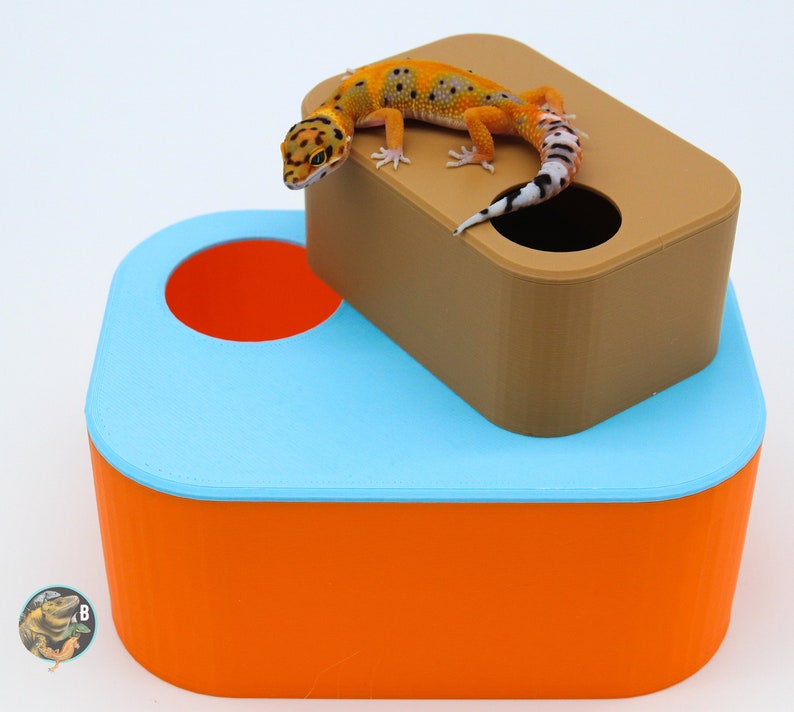 Small Humid Hide Lay Box - Etsy