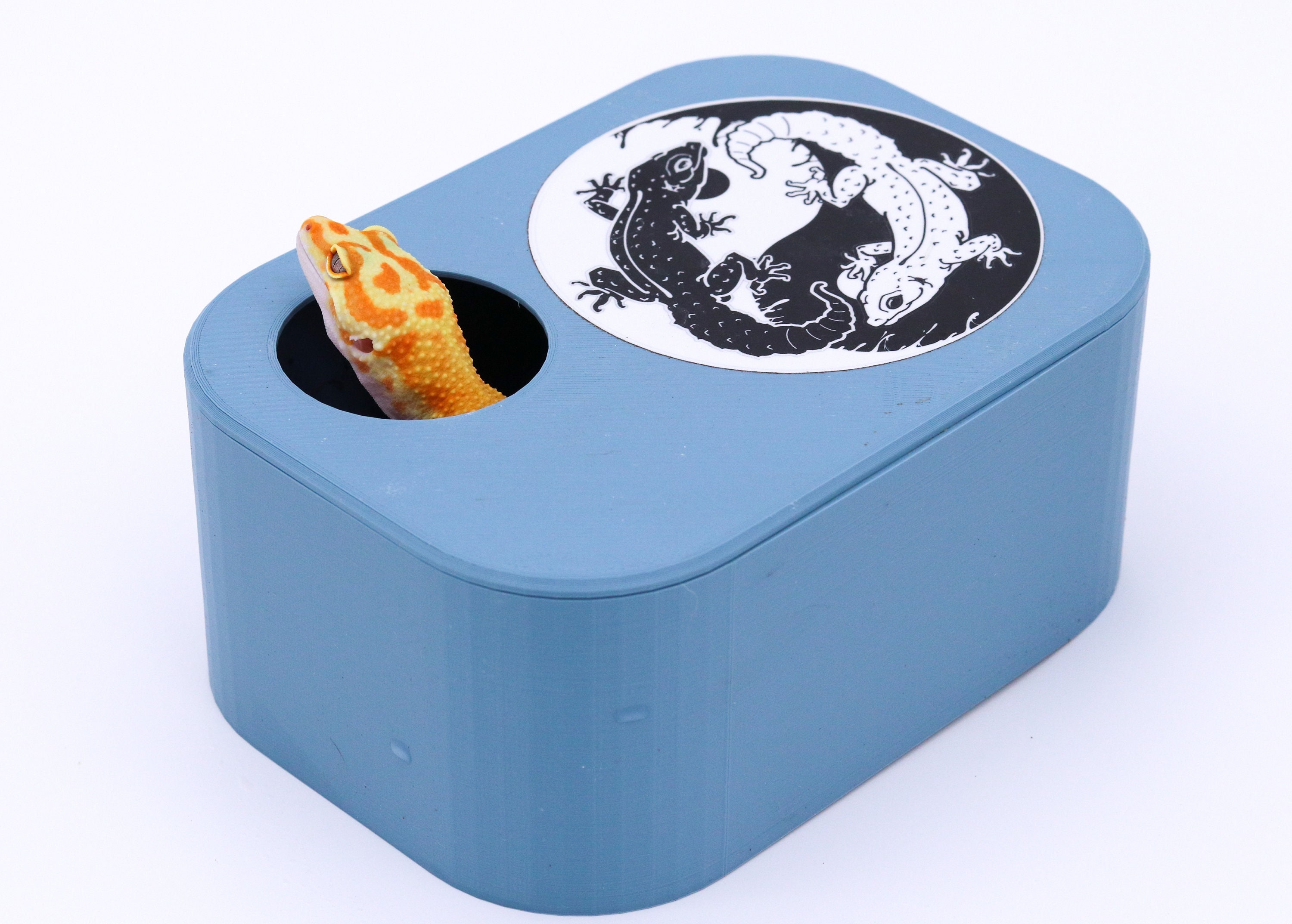 Crested Gecko Lay Box