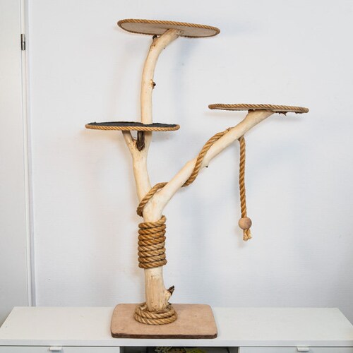 19 Cedar Cat Scratching Post/cedar Post/kitten/wooden - Etsy