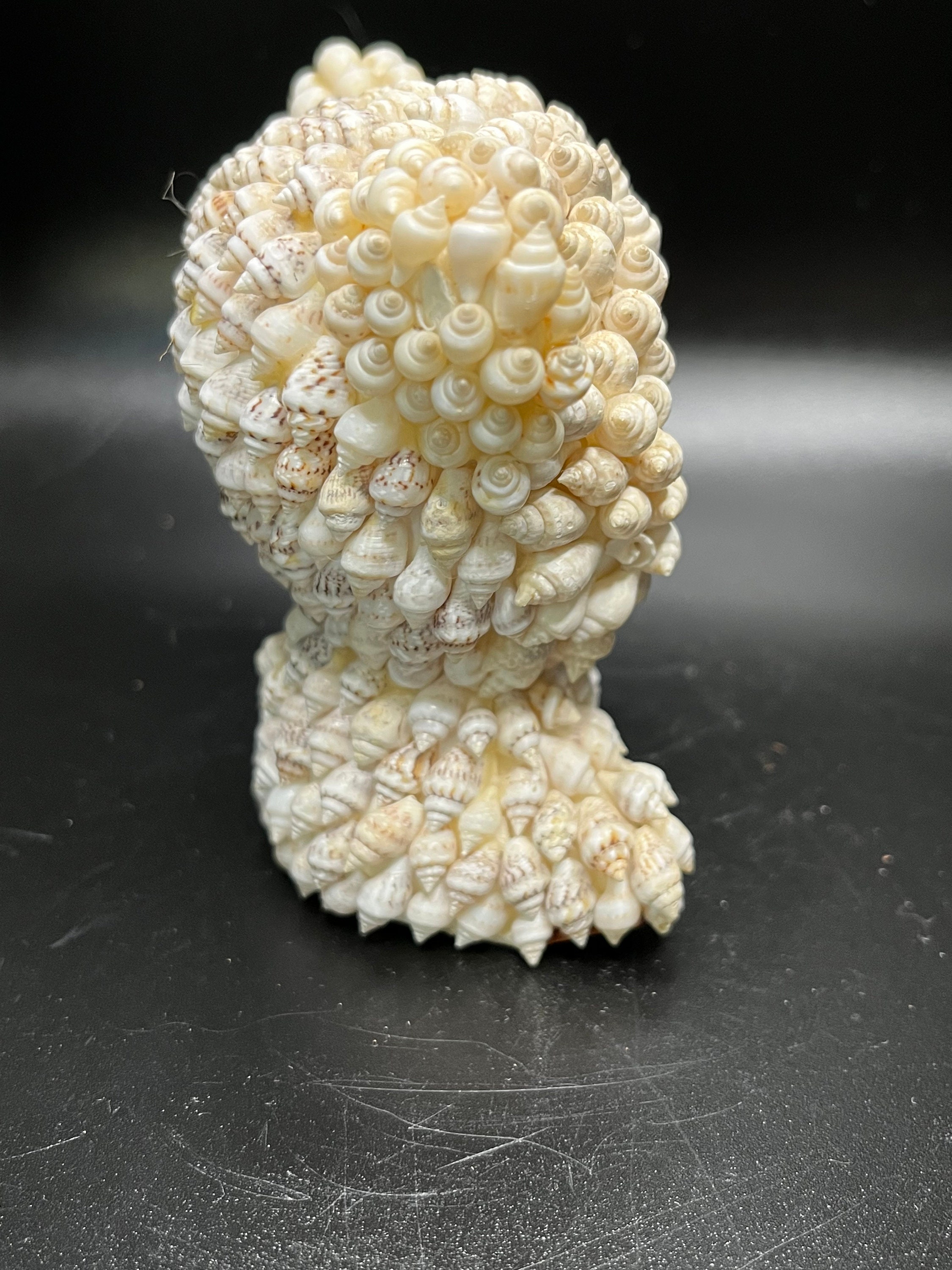 Adorable Vintage Teddy Bear Covered With Seashells - Etsy