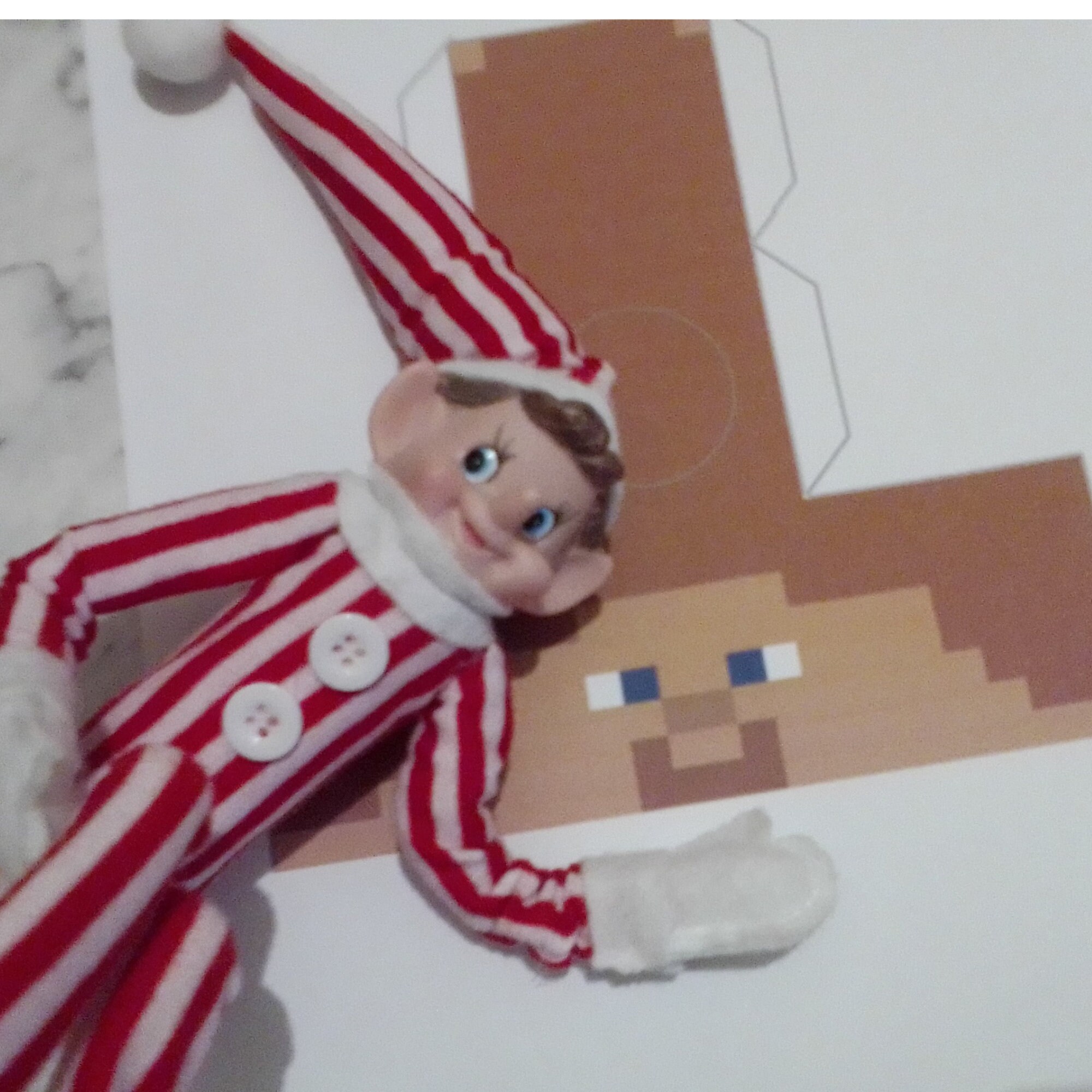 Classic Minecraft Characters Heads Easy Elf Idea Elf | Etsy