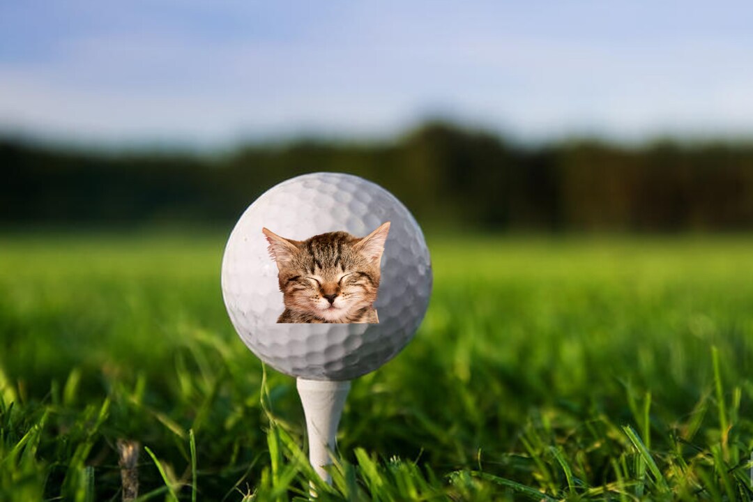 Golf Ball With Cat Face on It, Cat on Golf Ball, Cat Face on Golf Ball ...