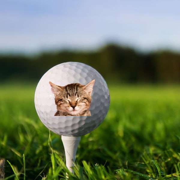 Funny Cat Balling - Etsy