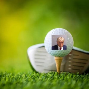 Donald Trump Mugshot Golf Ball, Funny Donal Trump Golf Ball, MAGA Golf ...