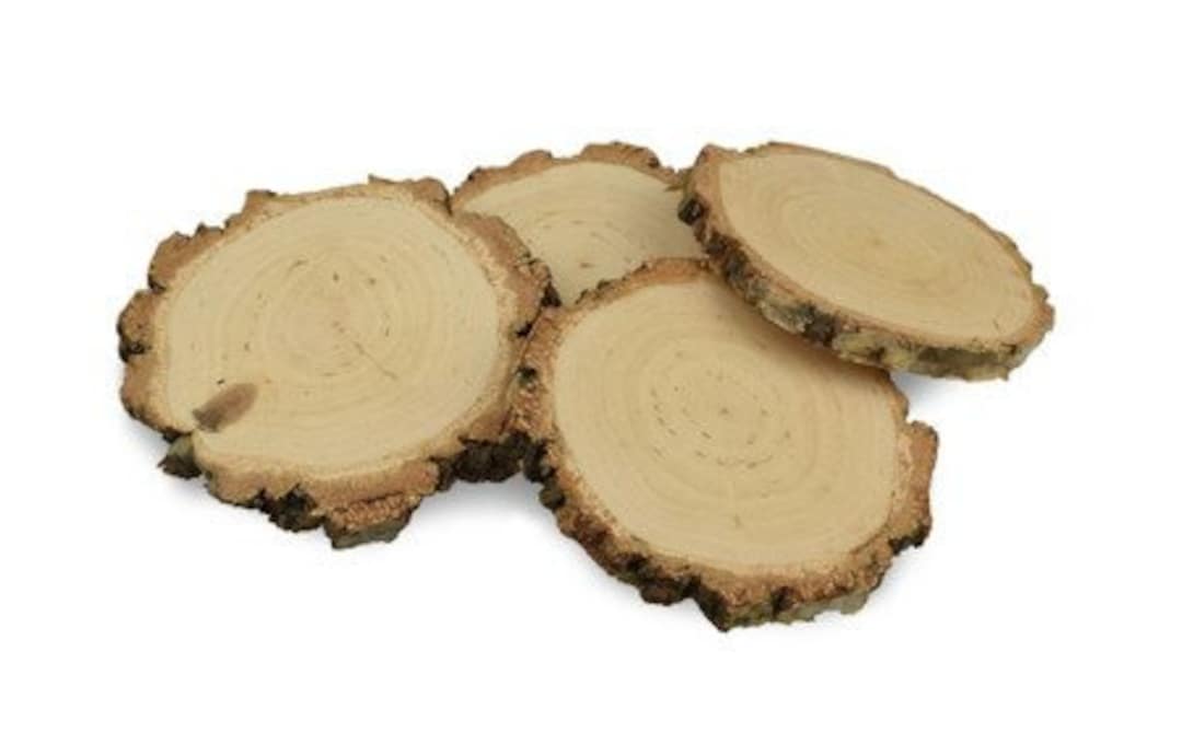 Birch Discs Wooden Disc Tree Disc Diameter 8-10 Cm Beautiful - Etsy