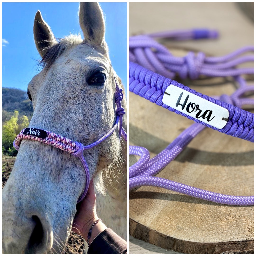Personalized Rope Halter With Name Tag - Etsy UK