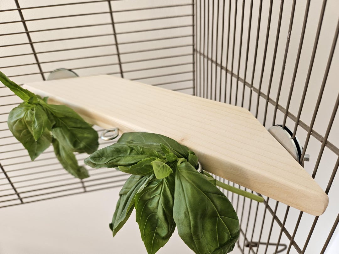 Corner Ledge & Hooks (30cm) *discounted Solely Due to Wood ...